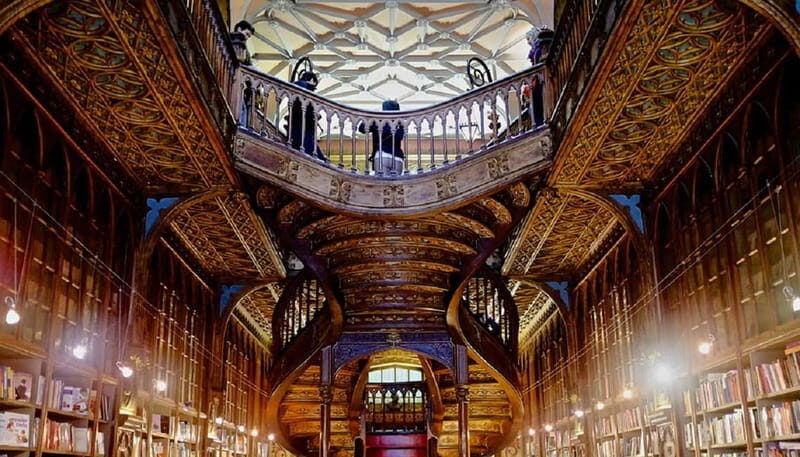 From Lisboa: Porto Private Full Day Tour - The Value of Convenience