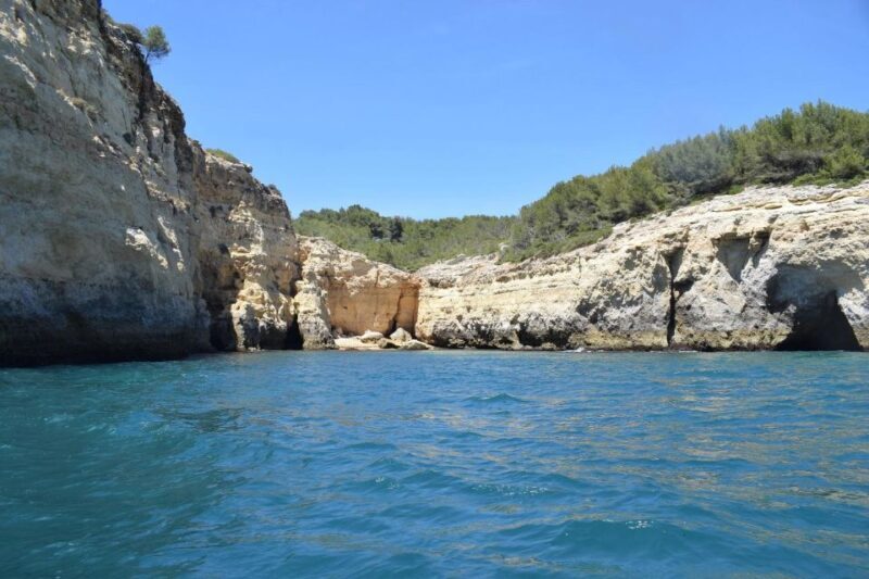 From Lisbon: Algarve Coast Flexible Private Day Trip - Who Will Love This Experience?