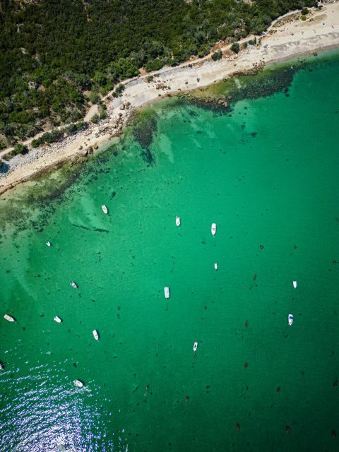 From Lisbon: Arrábida, Azeitão, Sesimbra, Palmela, Setúbal - FAQ