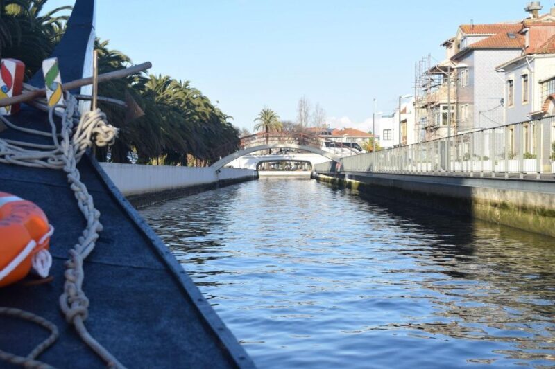 From Lisbon: Aveiro and Coimbra Food Experience - An Overview of What to Expect