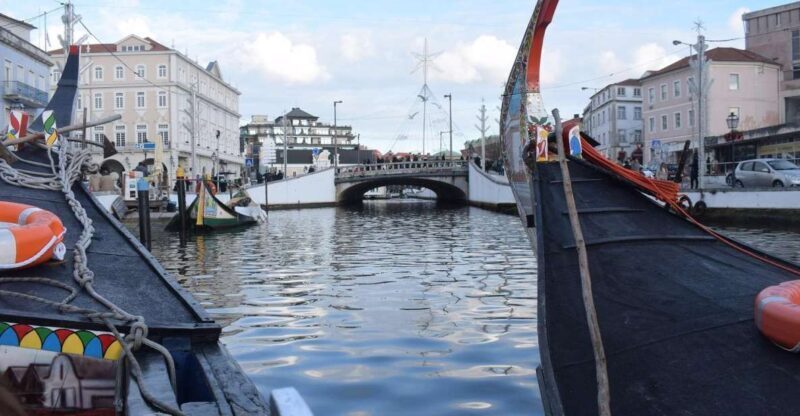 From Lisbon: Aveiro and Coimbra Food Experience - Tasting Portugal’s Famous Suckling Pig in Mealhada