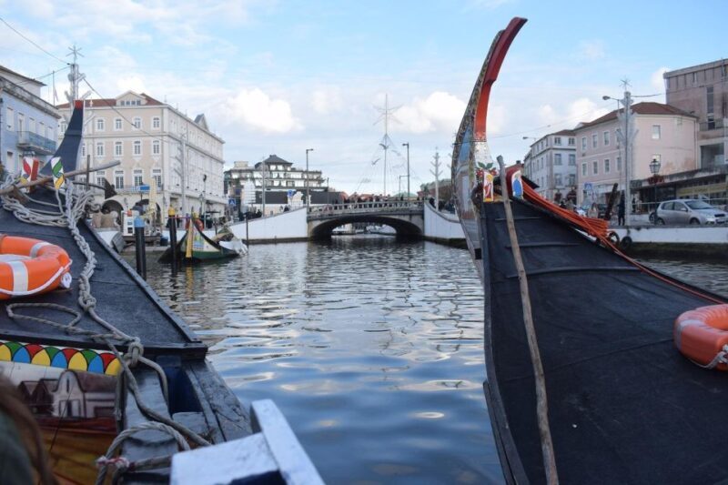 From Lisbon: Aveiro and Coimbra Food Experience - Practical Details and Timing