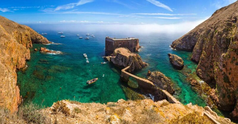 From Lisbon: Berlenga Grande Island Private Tour - Key Points