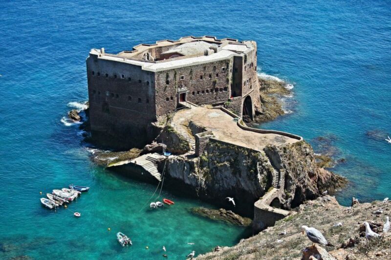 From Lisbon: Berlenga Grande Island Private Tour - Final Thoughts