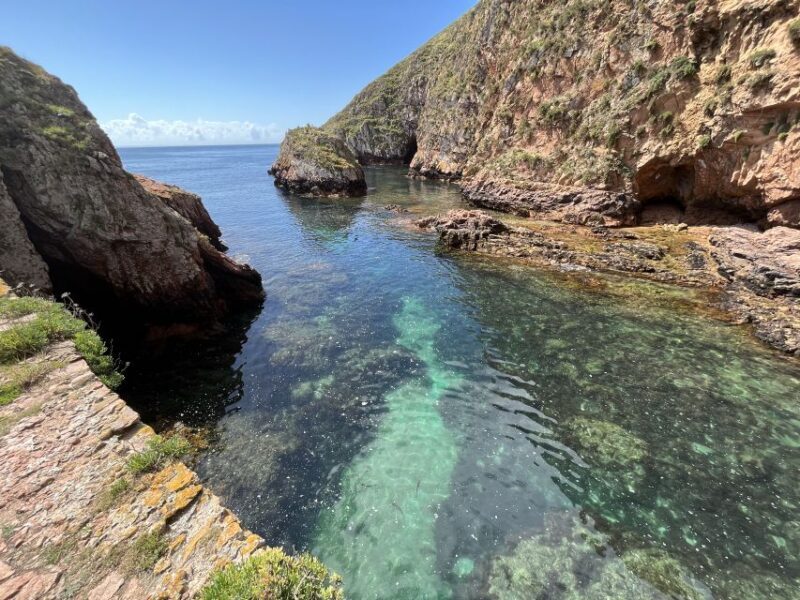 From Lisbon: Berlenga Grande Sightseeing Tour - What Makes This Tour Stand Out