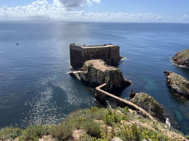 From Lisbon: Berlenga Grande Sightseeing Tour - The Practical Side: Value and Considerations