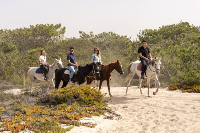 From Lisbon: Comporta and Setúbal Trip with Horseback Riding - Final Thoughts: Who Should Consider This Tour?