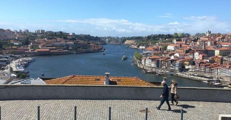 From Lisbon: Douro Valley and Porto Town Experience - Scenic Drive Through Portugal’s North