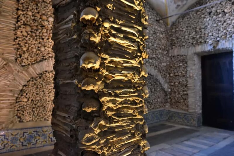 From Lisbon: Évora, Chapel of Bones & Alentejo Wine Tour - Traveler Insights from Reviews