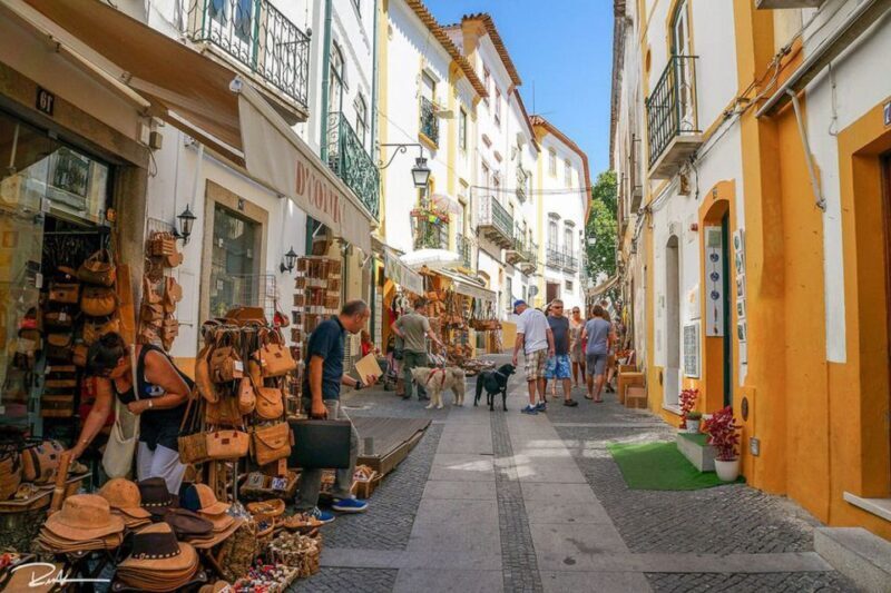 From Lisbon: Évora City Private Tour - Practical Tips for Travelers