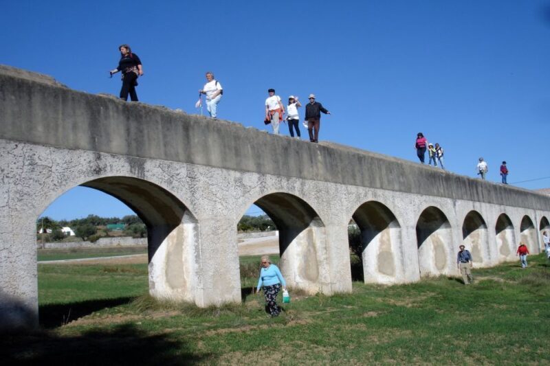 From Lisbon: Evora Private Day Trip with Wine Tasting - Key Points