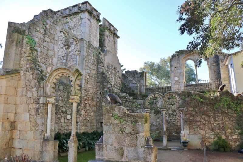 From Lisbon: Évora Private Historic Discovery Tour - Authenticity and Personalization