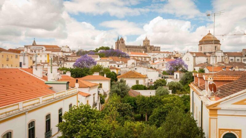 From Lisbon: Évora Tour with Wine Tasting included - A Closer Look at the Évora Tour From Lisbon