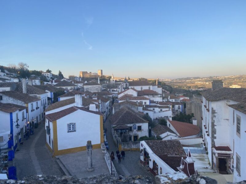 From Lisbon: Fátima, Batalha, Nazaré, and Obidos Tour by Van - Who Should Consider This Tour?