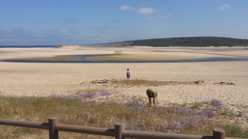 From Lisbon: Half-Day Arrábida Tour w/ Transfers - What’s Included and What’s Not