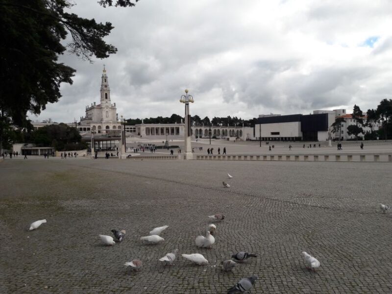 From Lisbon: Half-Day Fátima PRIVATE Tour - Is This Tour Worth the Price?