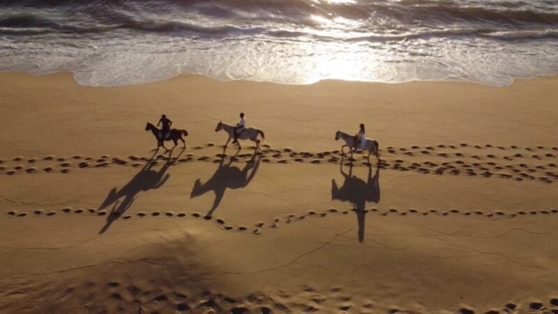 From Lisbon: Horseback Riding on Comporta Beach - Key Points