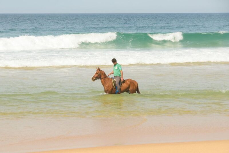 From Lisbon: Horseback Riding on Comporta Beach - The Lisbon to Comporta Journey
