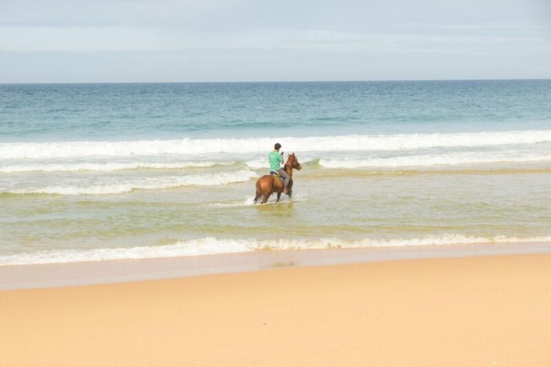 From Lisbon: Horseback Riding on Comporta Beach - The Beach and Dune Experience