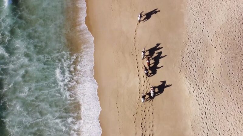 From Lisbon: Horseback Riding on Comporta Beach - The Reviews Speak Volumes