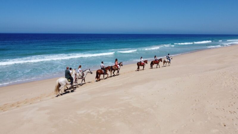 From Lisbon: Horseback Riding on Comporta Beach - Is This Tour Worth It?