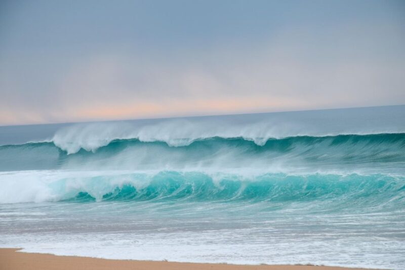 From Lisbon: Horseback Riding on Comporta Beach - Who Should Consider This Tour?