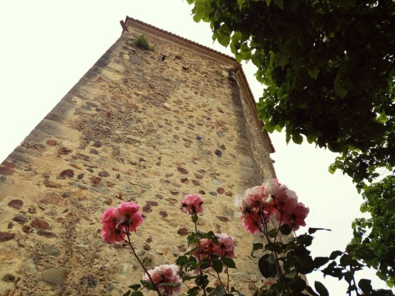 From Lisbon: Knights Templar - Tomar Private Tour - FAQ