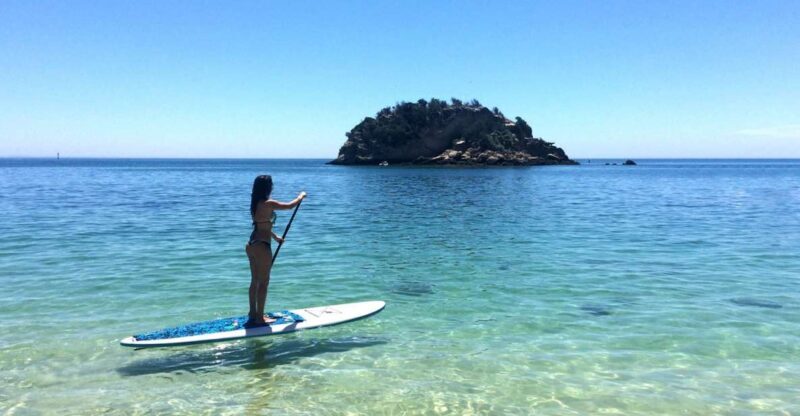 From Lisbon: Nature Park of Arrábida Paddleboarding - Key Points