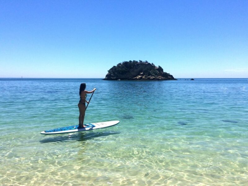 From Lisbon: Nature Park of Arrábida Paddleboarding - FAQ