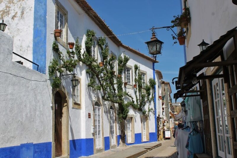 From Lisbon: Óbidos and Mafra Palace Private Tour - What to Expect During the Day