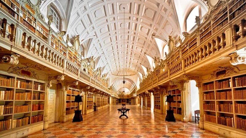 From Lisbon or Cascais: Mafra, Ericeira, and Queluz Day Tour - Who This Tour Is Best For
