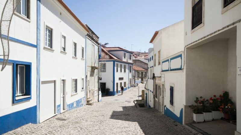 From Lisbon or Cascais: Mafra, Ericeira, and Queluz Day Tour - FAQ