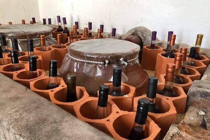 From Lisbon: Palmela-Setúbal Wine Tasting Tour (40kms of Lisbon) - Exploring the Itinerary: What You Can Expect
