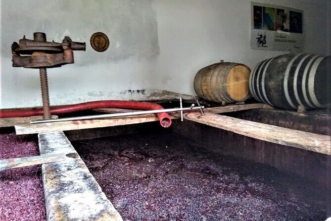 From Lisbon: Palmela-Setúbal Wine Tasting Tour (40kms of Lisbon) - Who Should Consider This Tour?
