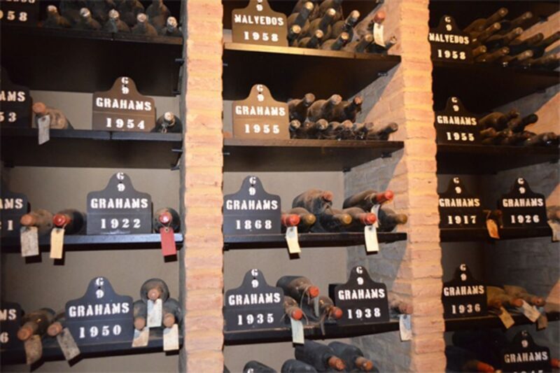 From Lisbon: Porto Full-Day Private Tour - Who Is This Tour Best For?