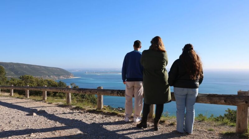 From Lisbon: Private Arrábida Natural Park with Wine Tasting - Handcrafting Azulejos: The Artistic Heart of Portugal