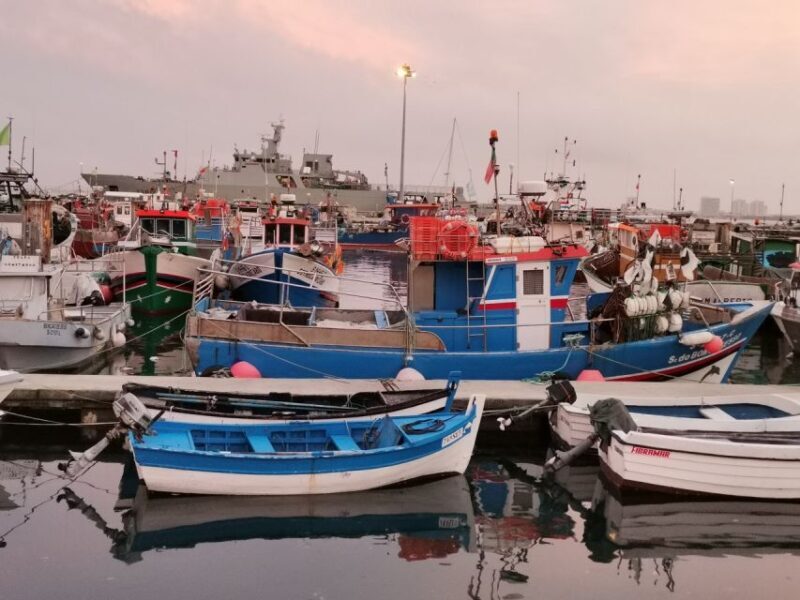 From Lisbon: Private Wine Tour with Setúbal & Arrábida - Discover Portugal’s Natural Charm and Authentic Flavors