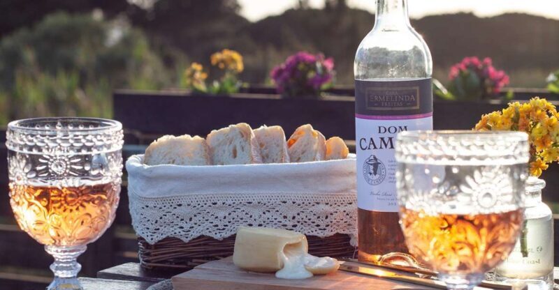 From Lisbon: Private Wine Tour with Wine & Cheese Tasting - An In-Depth Look at the Tour Experience