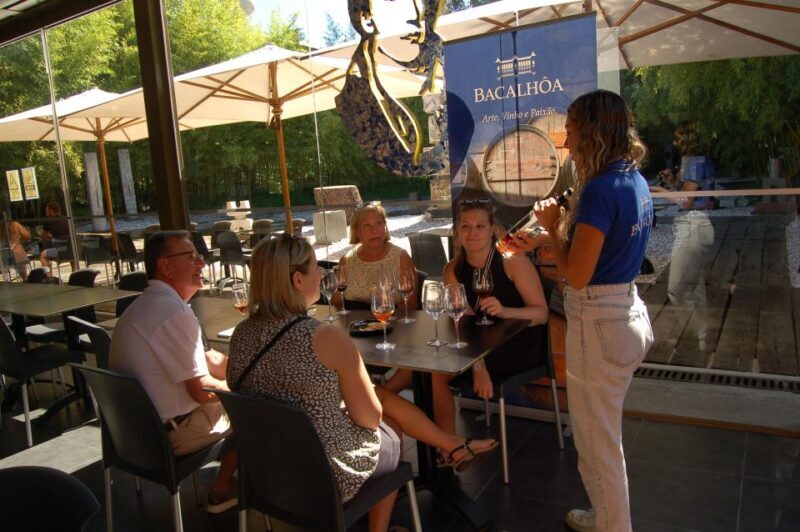 From Lisbon: Private Wine Tour with Wine & Cheese Tasting - Who Would Love This Tour?