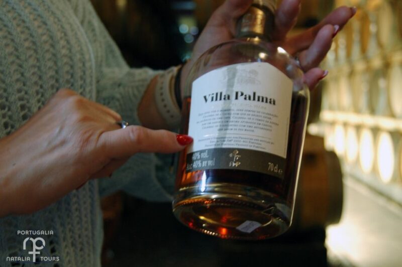 From Lisbon: Private Wine Tour with Wine & Cheese Tasting - Wrapping Up