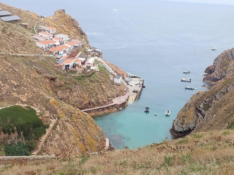 From Lisbon : Round trip to Peniche, Berlengas. - Authentic Experiences and Practical Tips