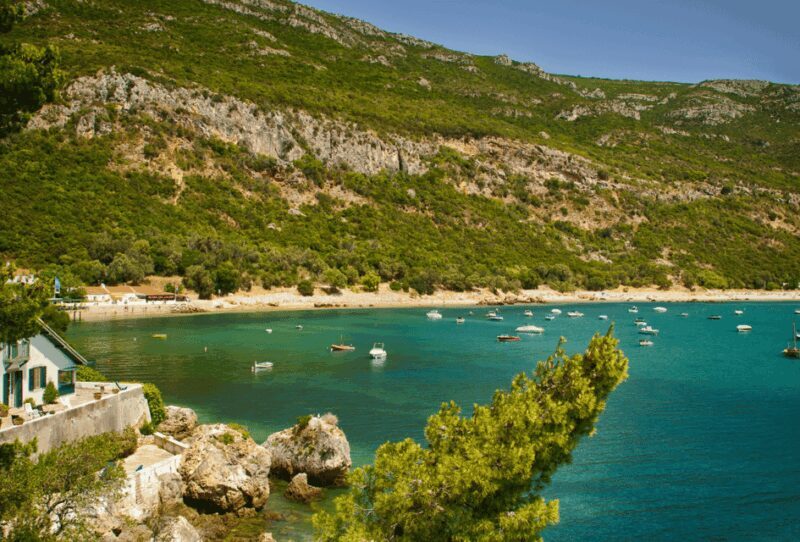 From Lisbon: Serra da Arrábida and Setúbal Wines - Authentic Experiences and Authentic Values