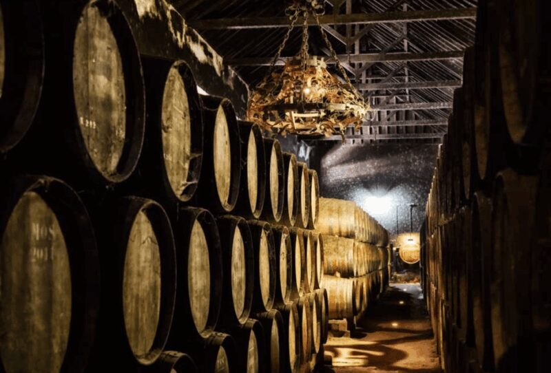From Lisbon: Serra da Arrábida and Setúbal Wines - Who Should Consider This Tour?