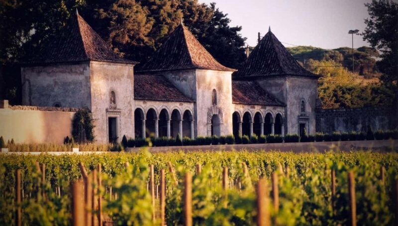 From Lisbon: Serra da Arrábida, Sesimbra, and Setúbal Wines - Why This Tour Works