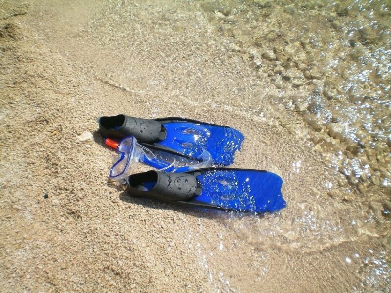 From Lisbon: Sesimbra Wild Beach Tour - Who Should Consider This Tour?