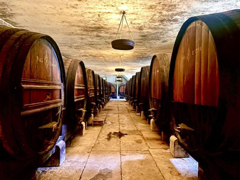 From Lisbon: Setúbal & Arrábida Wine Tour with Lunch - Final Thoughts: Who Is This Tour For?