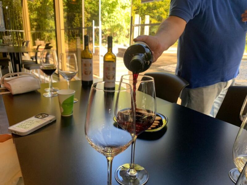 From Lisbon: Setúbal & Arrábida Wine Tour with Lunch - An In-Depth Look at the Experience