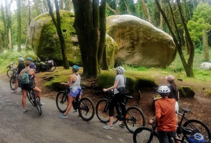 From Lisbon: Sintra and Cascais E-Bike Tour - Key Points