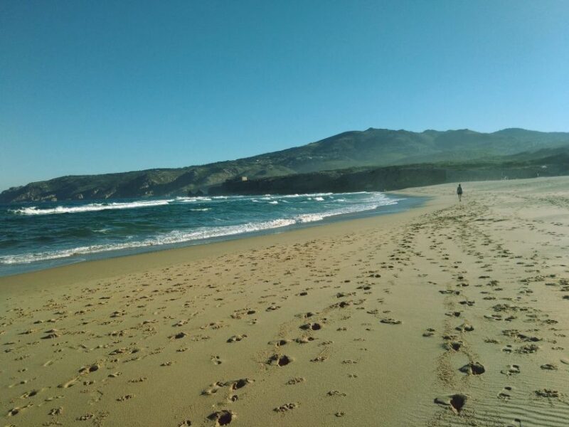 From Lisbon: Sintra and Cascais Natural Park Private Tour - Key Points