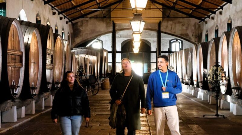 From Lisbon: Sintra, Pena Palace, Cascais and Wine Tasting - Key Points